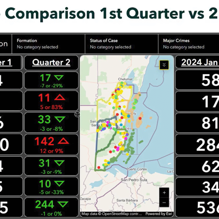 What are the ways to apply for a police record? - Belize Police Department
